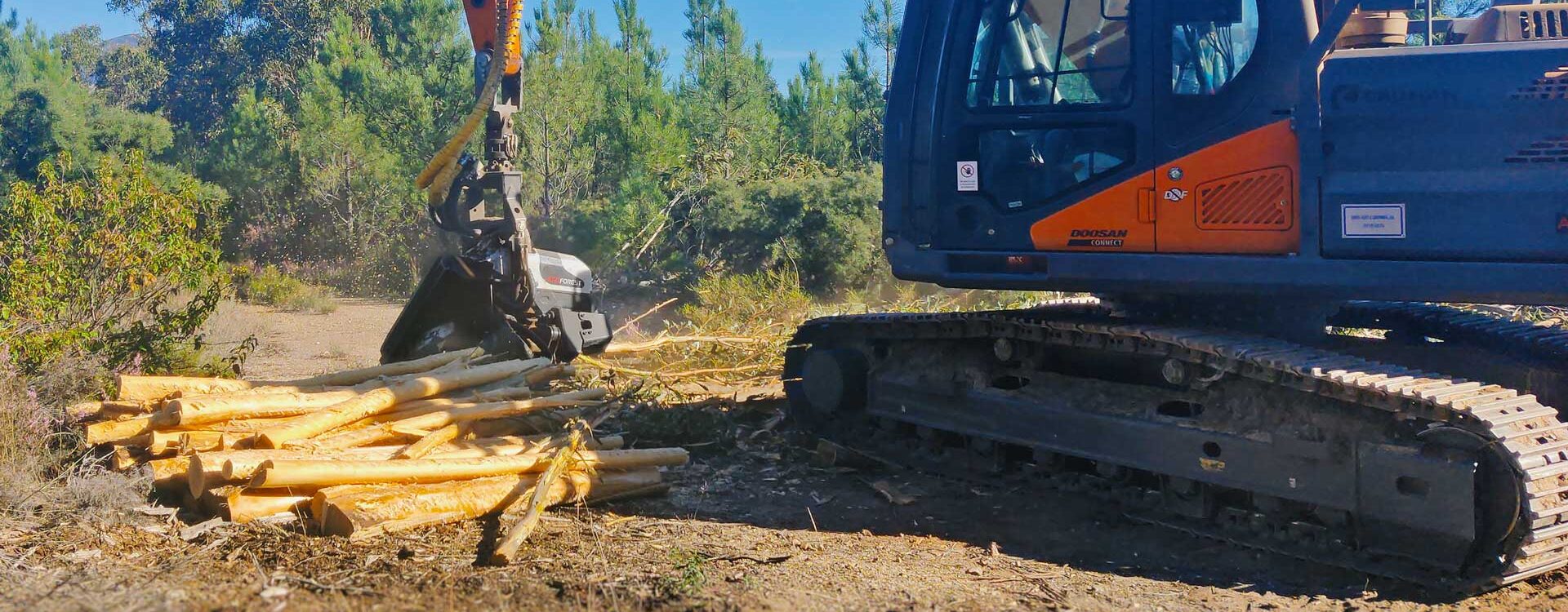 AFM 60 – AFM-Forest Ltd