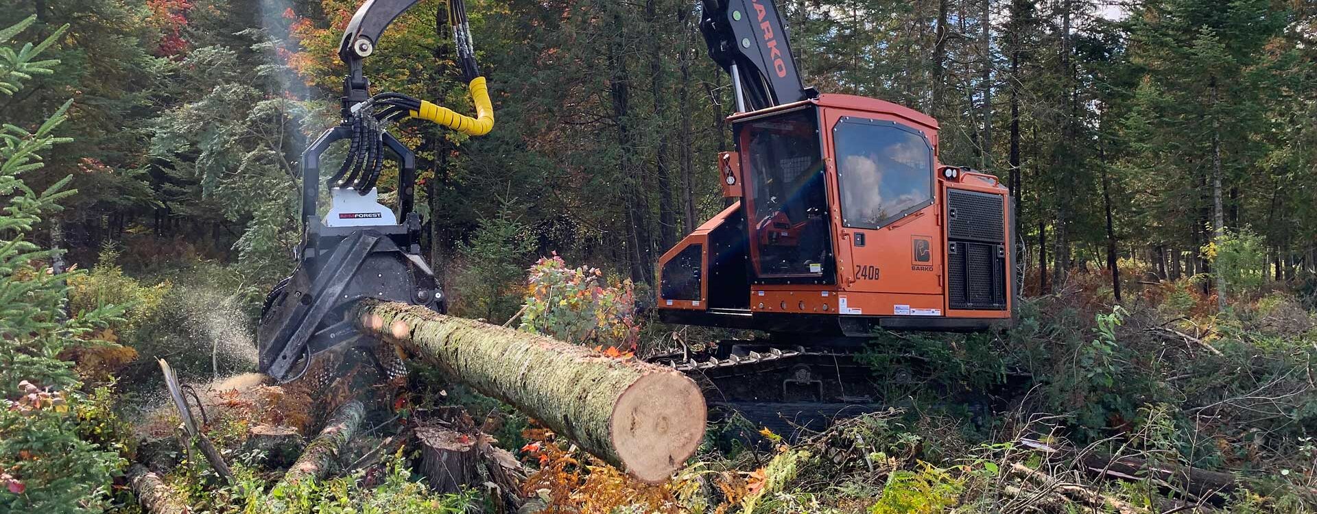 AFM 65 - AFM-Forest Ltd